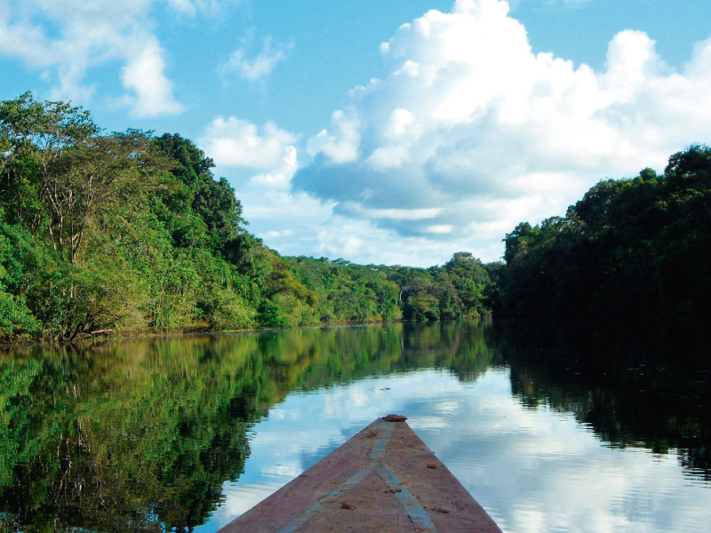 Pacaya Samiria N. Reserve Tours | Travel Pax