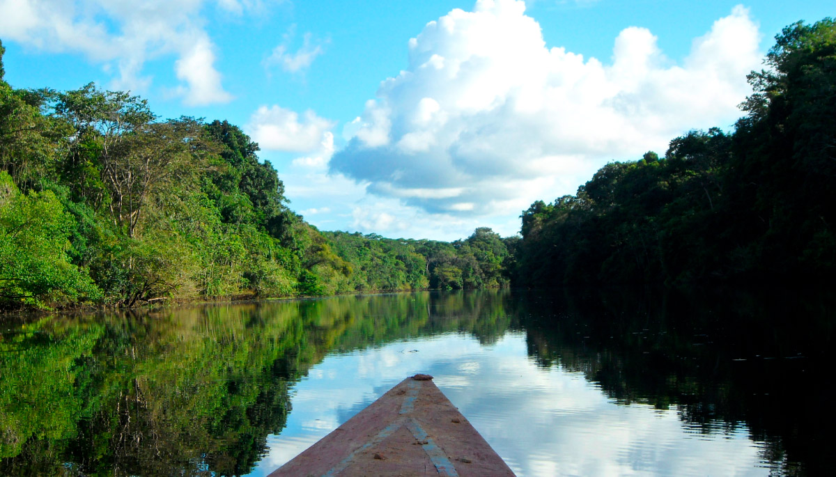 Amazon Rainforest - Travel Pax Peru